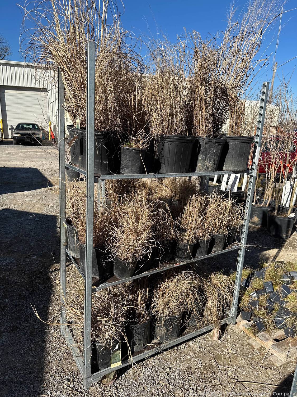 McLemore Auction Company - Auction: Gardens of Babylon Spring Cleaning ...